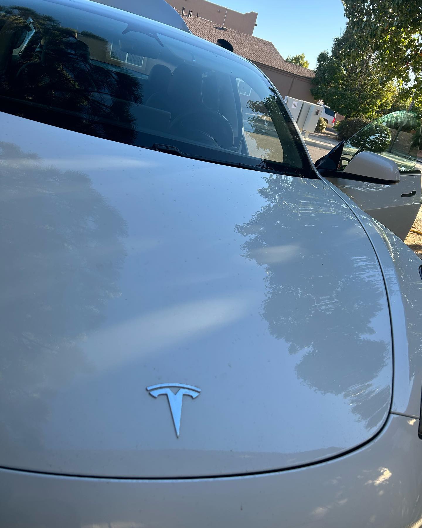 Tesla Model S - Deluxe Service - Exotic Details NM